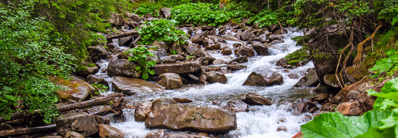 Operation Clean Sweep® - World Plastics Council